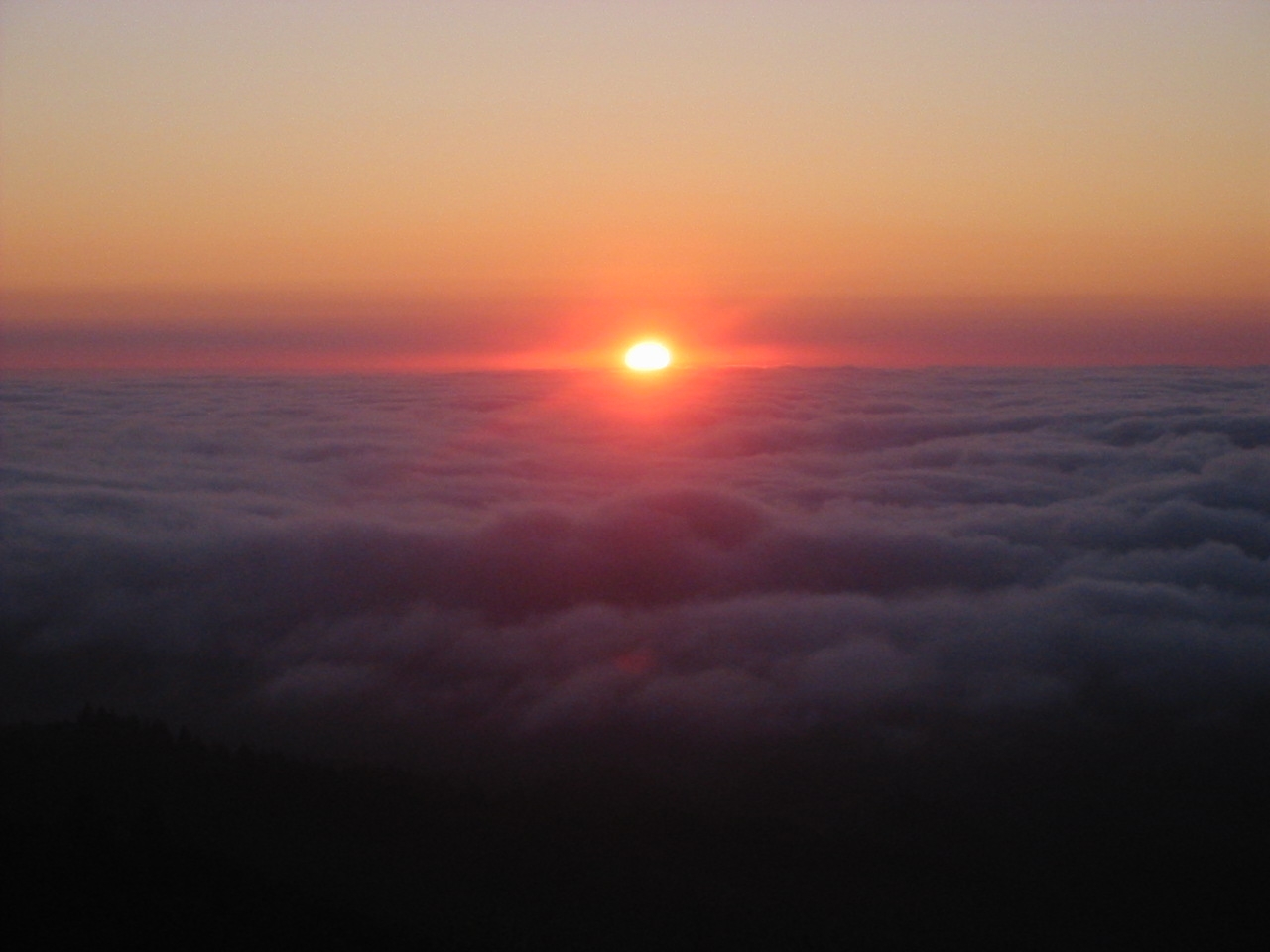 WXSIM Weather Simulator